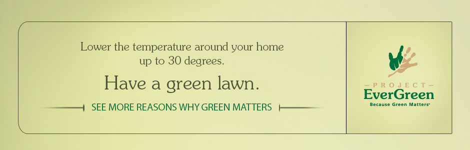 Project EverGreen – Preserving and enhancing green spaces in our ...