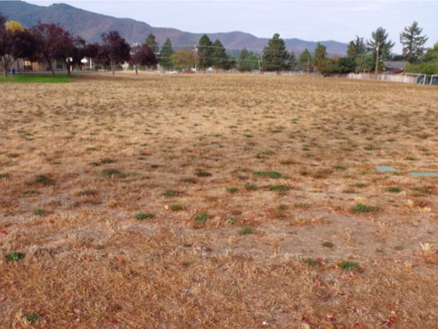 “Healthy Turf. Healthy Kids.” Hits A Home Run With Oregon Project ...