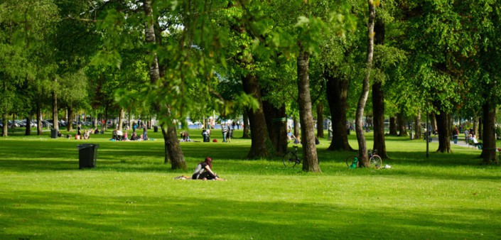 Learn More About Us | Project Evergreen