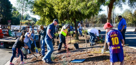 Learn More About Us | Project Evergreen