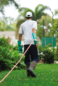Resources: Why Green Matters | Project Evergreen