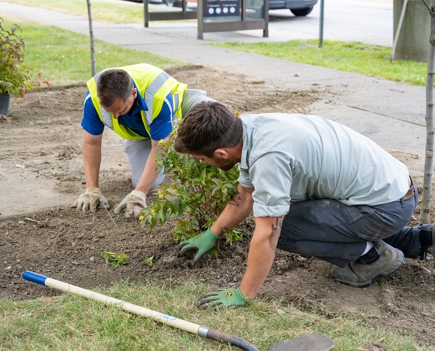 Project Evergreen | Creating a Healthier Cooler Earth
