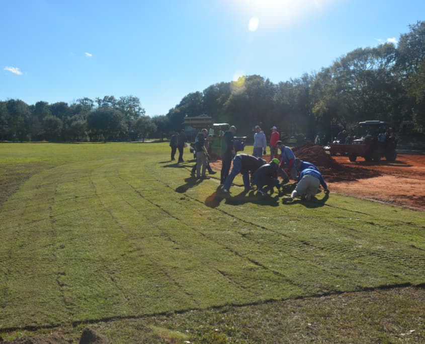 Mother Mathilda Beasley Park - Savannah - Project EverGreen