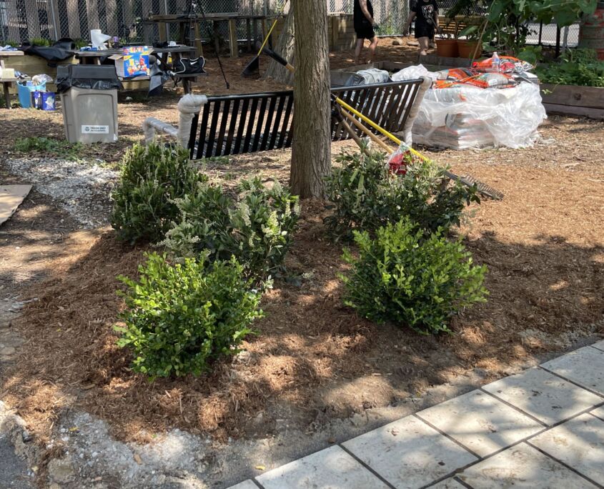 Poppa and Momma Jones Historical Garden | Project EverGreen