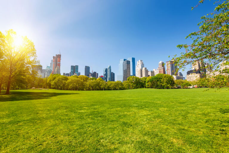 Clean Air Calculator: Find Your Carbon Footprint | Project Evergreen